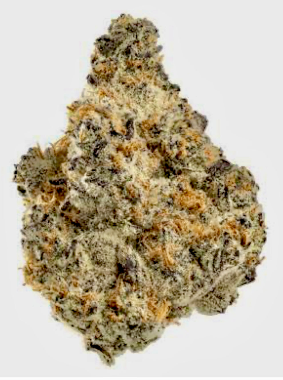 THCA FROZEN DREAM 25.1% - SATIVA Dominant HYBRID THCA FLOWER – The ...